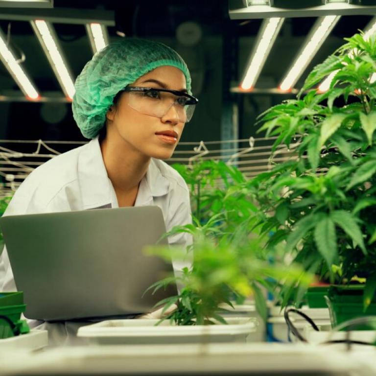 Smart Solutions for Cannabis Inventory Management